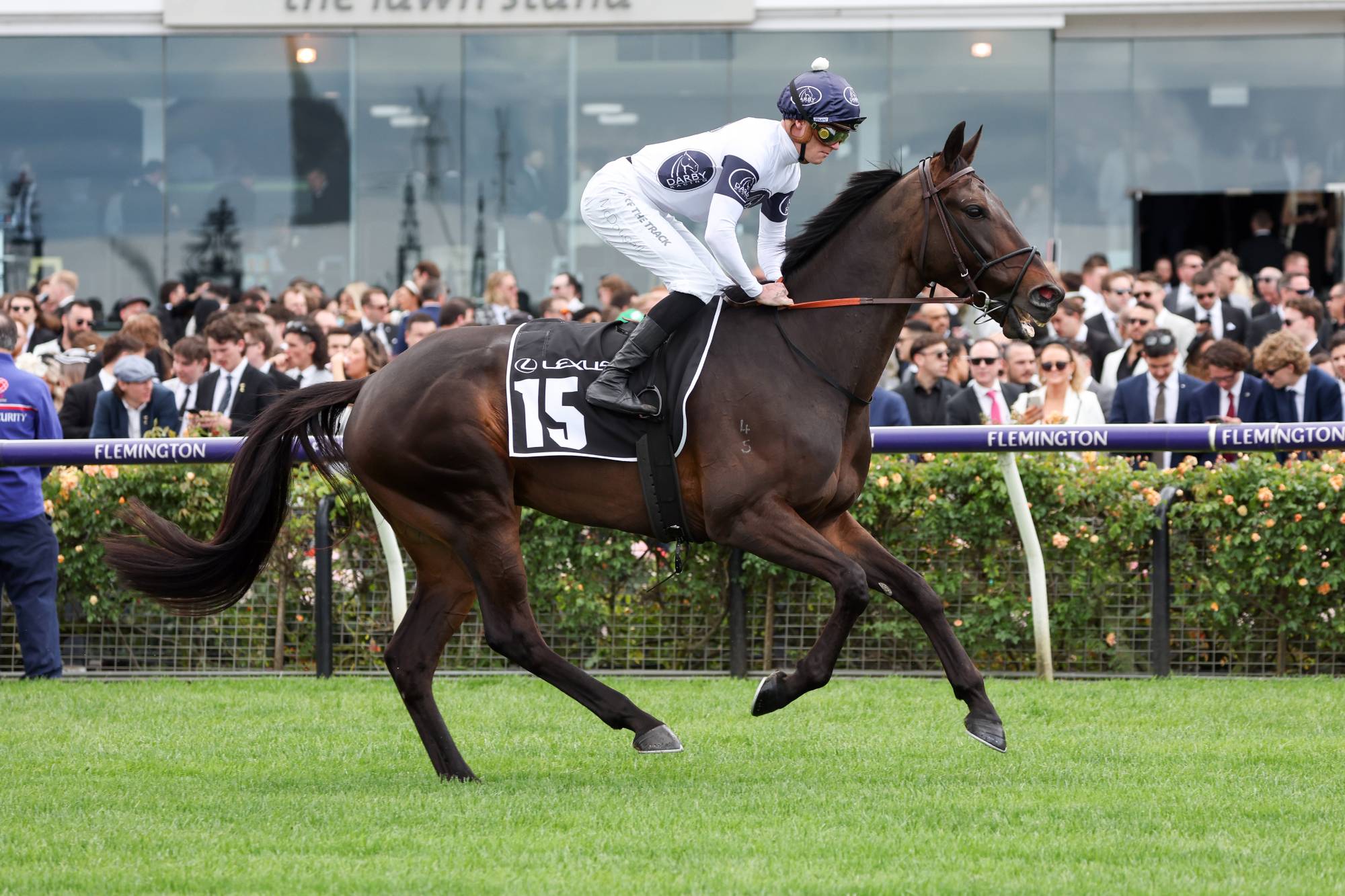 Melbourne Cup 2023 field, horses, form guide and finishing order - ABC News