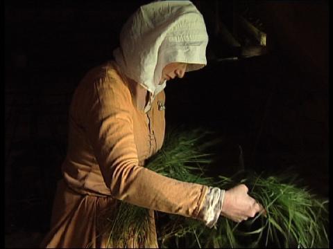 Roman Times: Eating and entertaining in ancient Rome - ABC Education