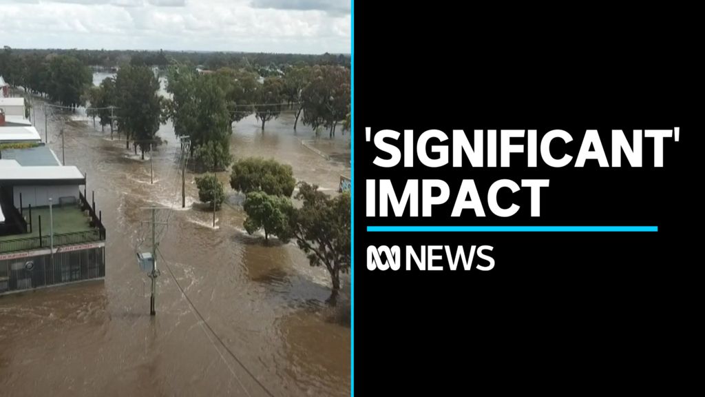 Proof of Life - ABC News