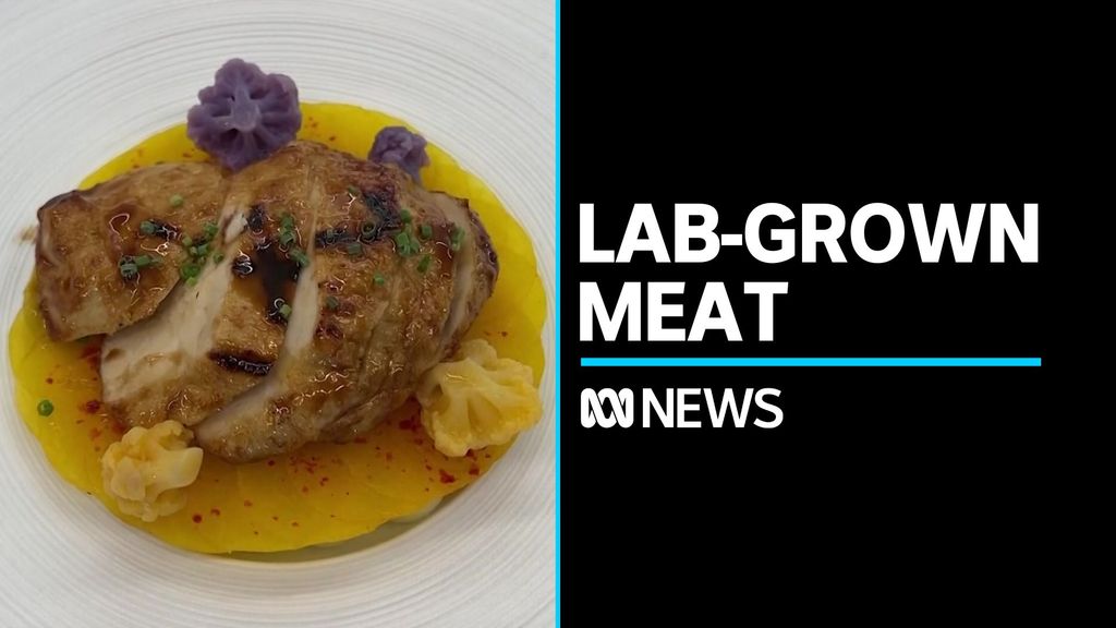 Lab-grown meat to be a 'supplement' to the food system - ABC News