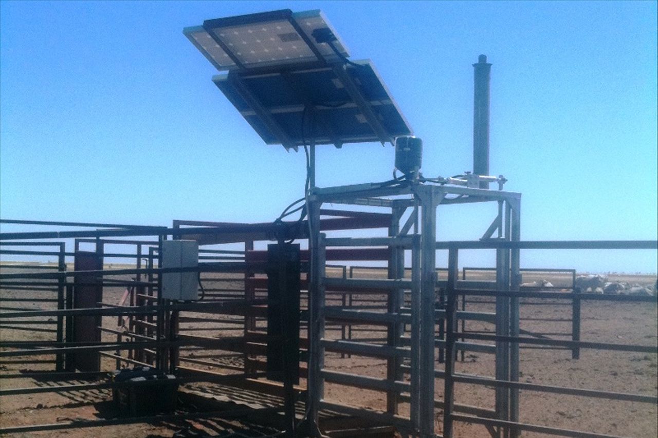 NT pastoralists get a hi-tech aid to find their cattle - ABC News