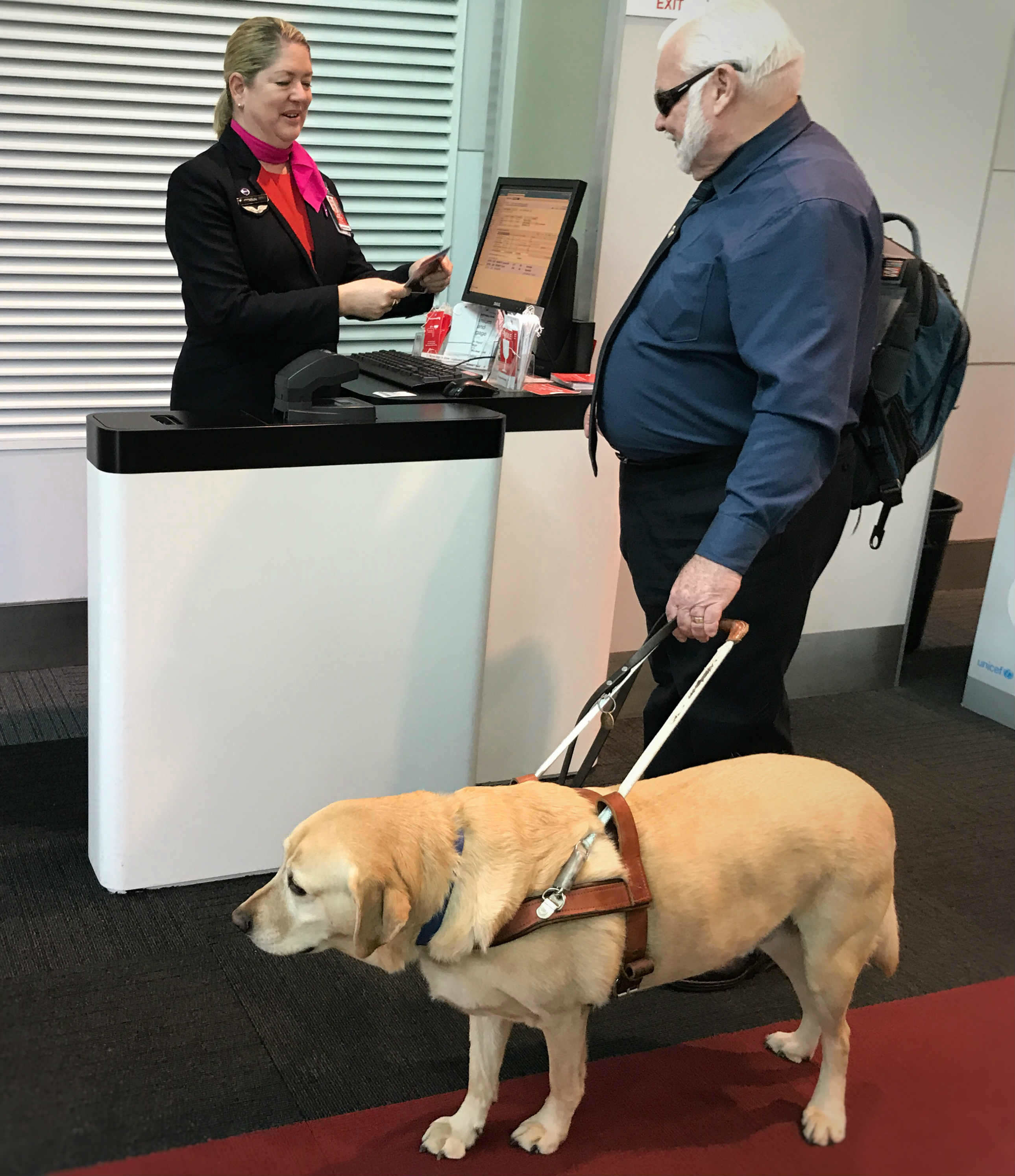 Guide dog Brogan catches record 300th flight with handler - ABC News