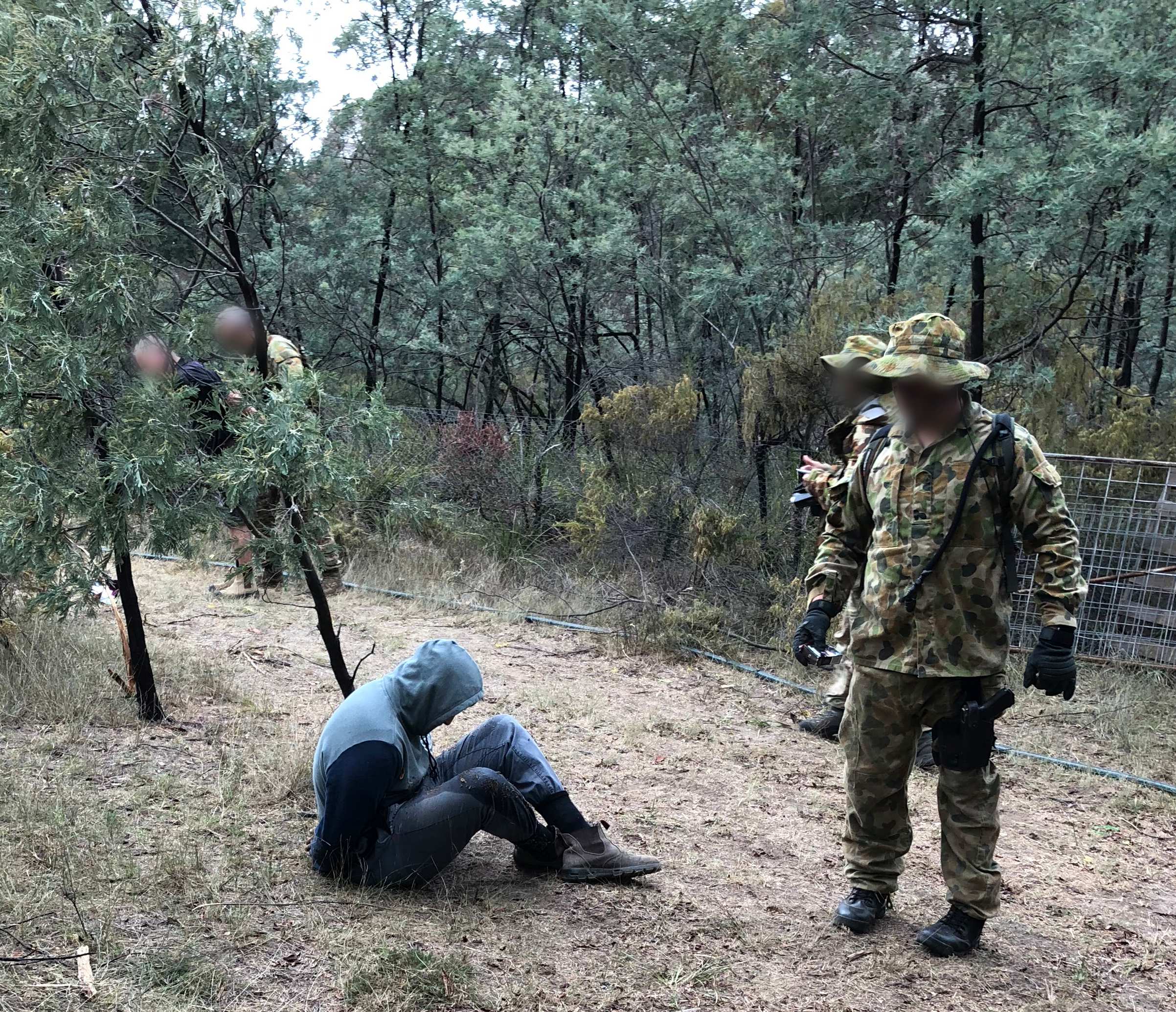 NSW police investigate links to Italian mafia after four charged over ...