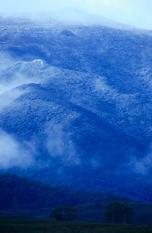 Ghost town Dundas hard to find, but it does have a new museum - ABC News