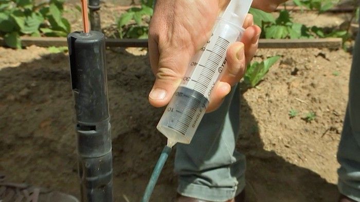 The Backyard Laboratory - Gardening Australia