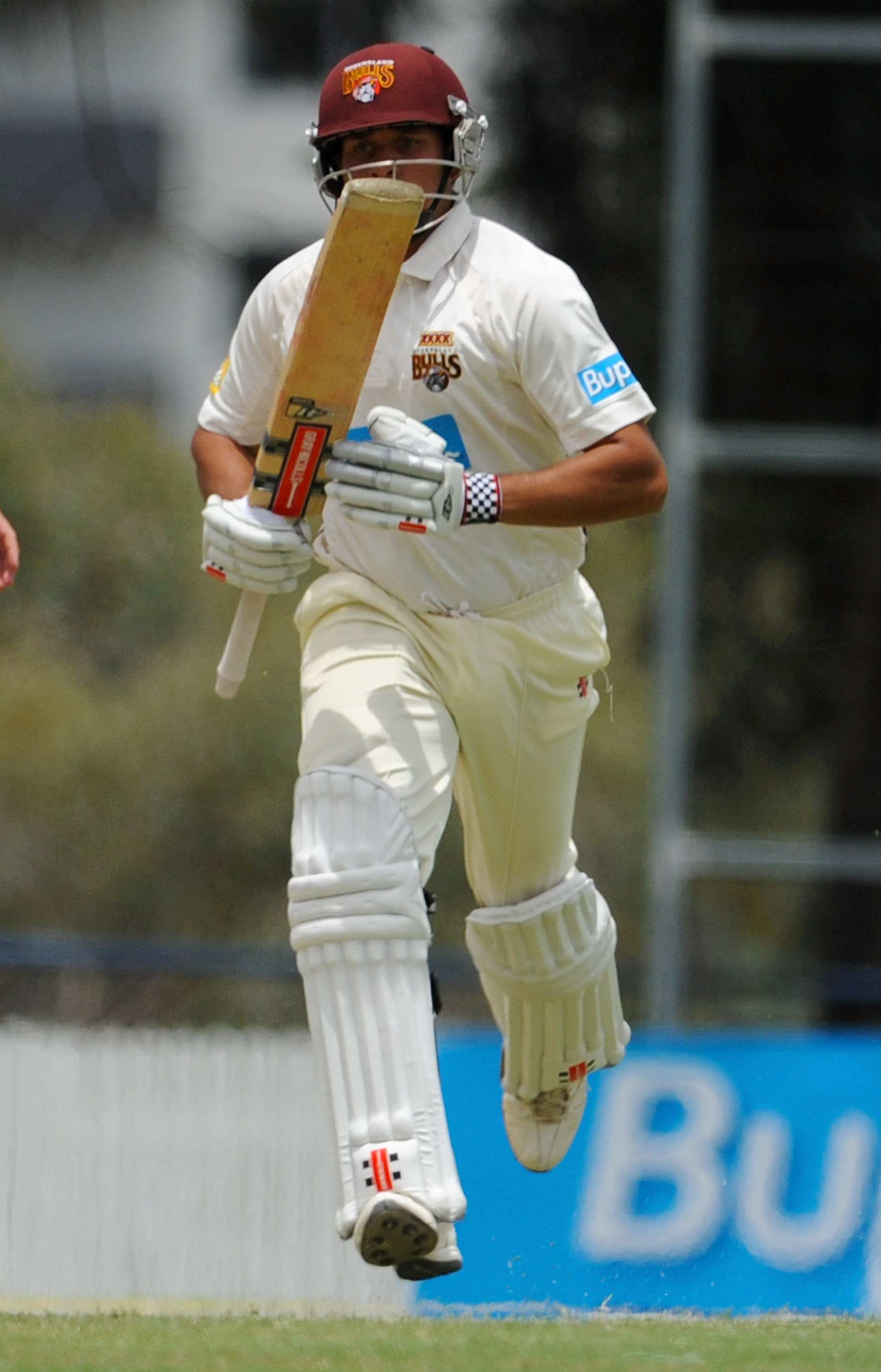 Queensland Bulls pull off record 471-run chase against South Australia ...