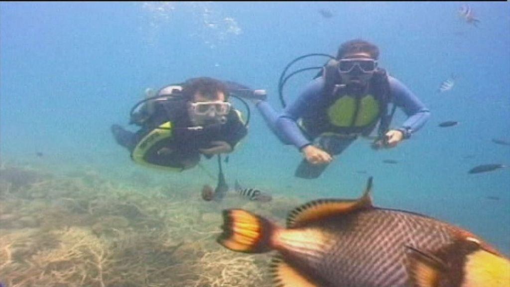 Call for more oxygen on dive boats to treat decompression illness - ABC ...