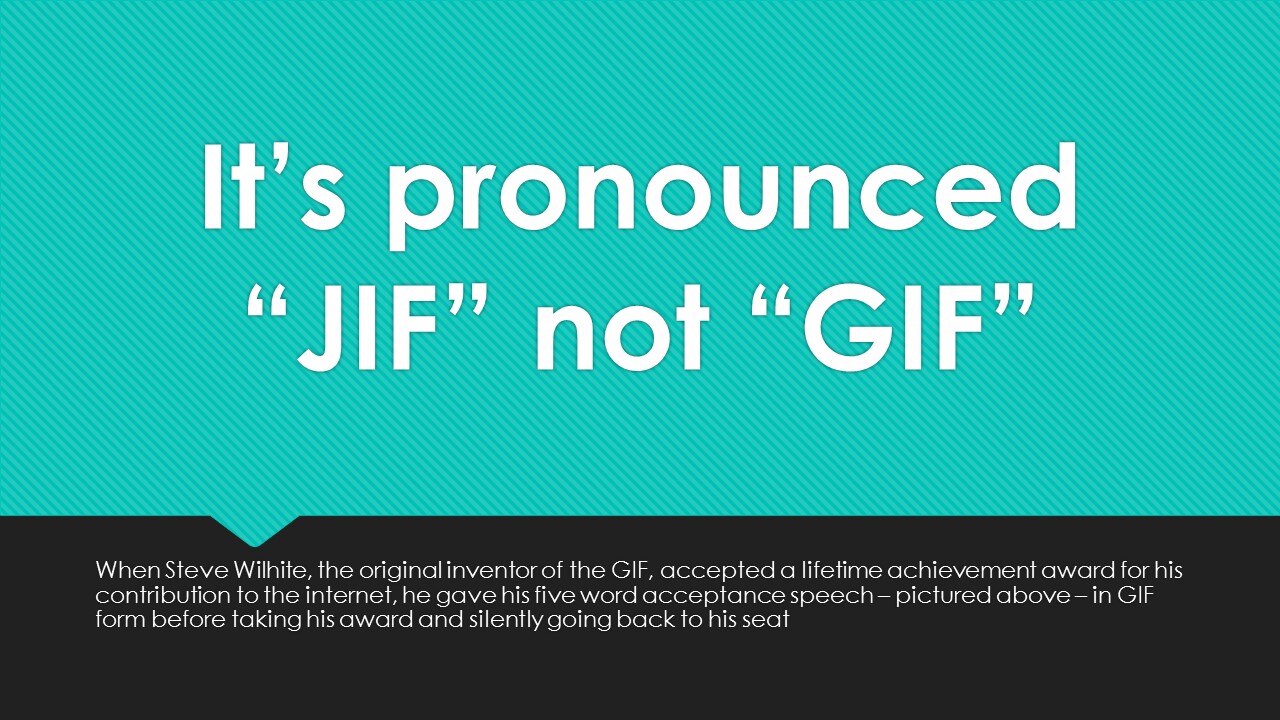 Wooftie: pronunciation of 'GIF' - ABC Brisbane