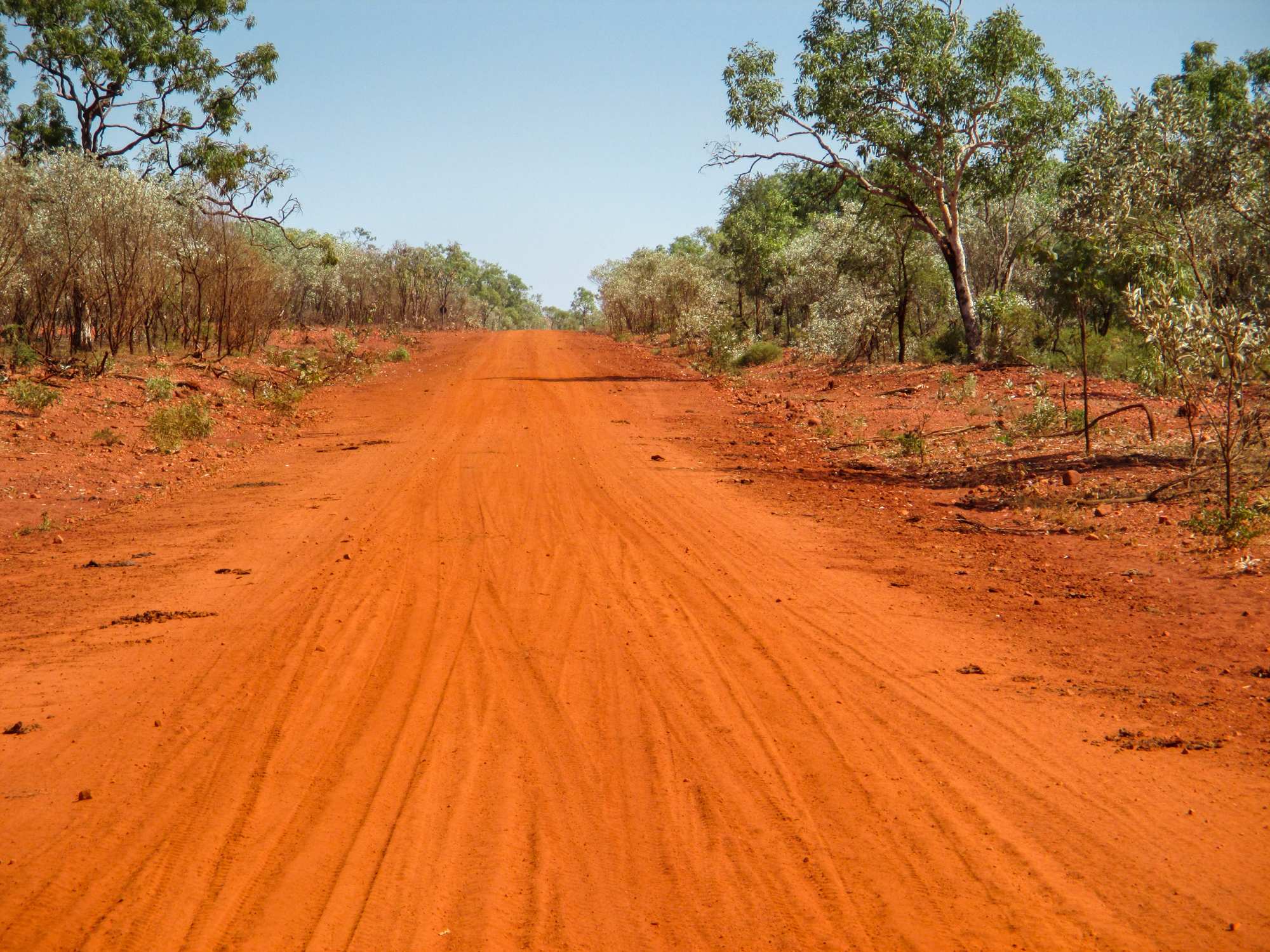 Pilbara Mornings with Verity Gorman and Sophia O'Rourke - ABC listen