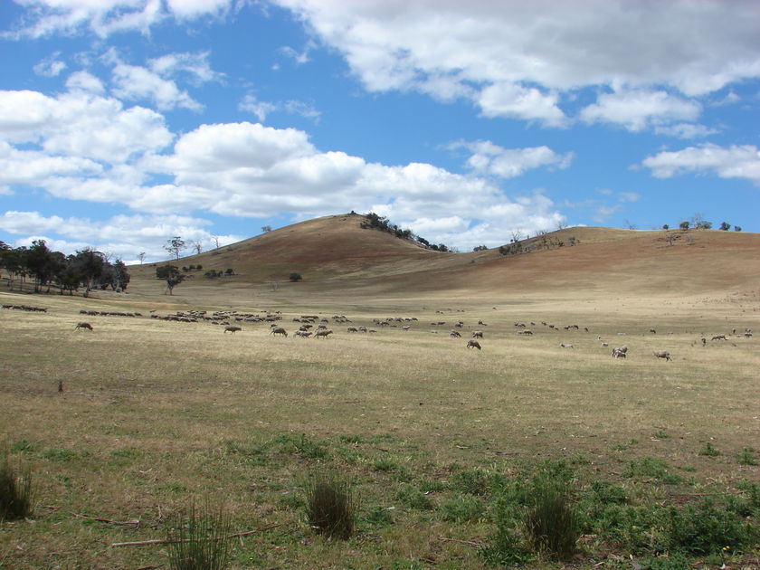 Tasmanian Country Hour - ABC listen