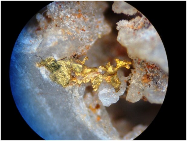 Explorer goes for gold in the Tanami Desert - ABC News