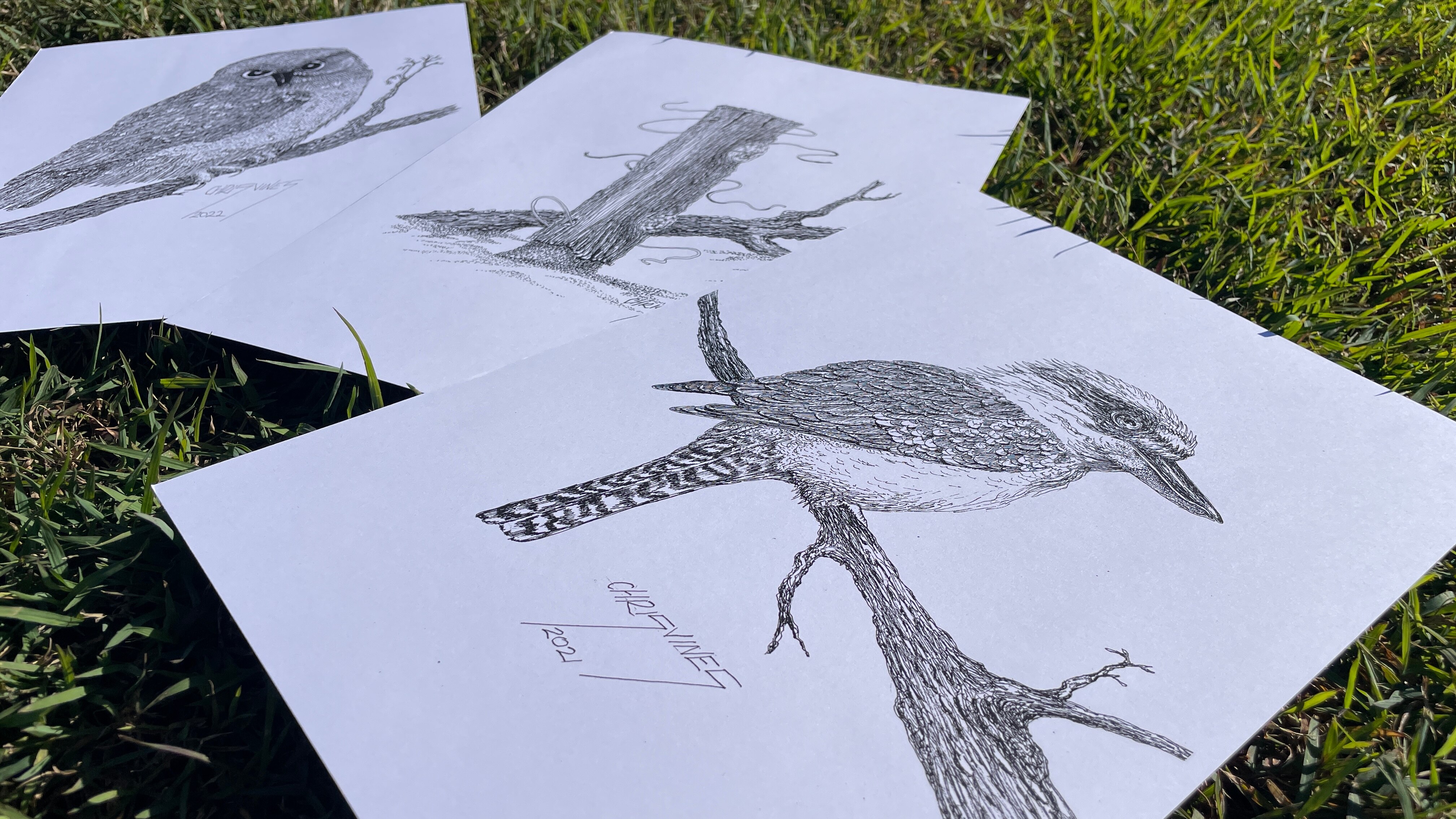 Vision-impaired artist's drawings brighten hospital ward - ABC News