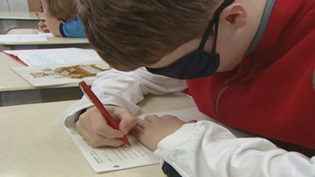 Can schools rewire neural pathways? - ABC News