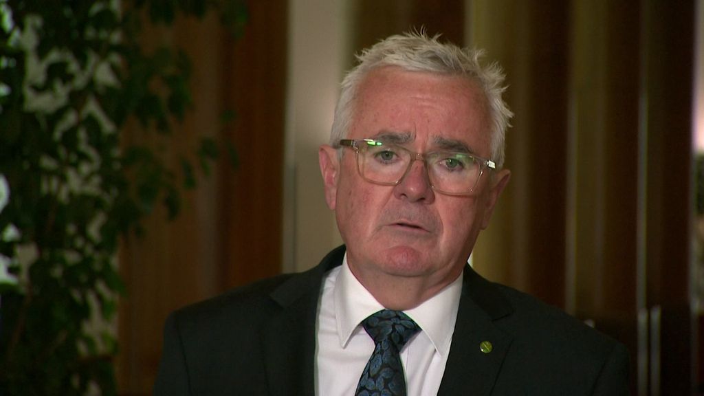 MP Andrew Wilkie calls for sacking of Communications Minister Michelle ...