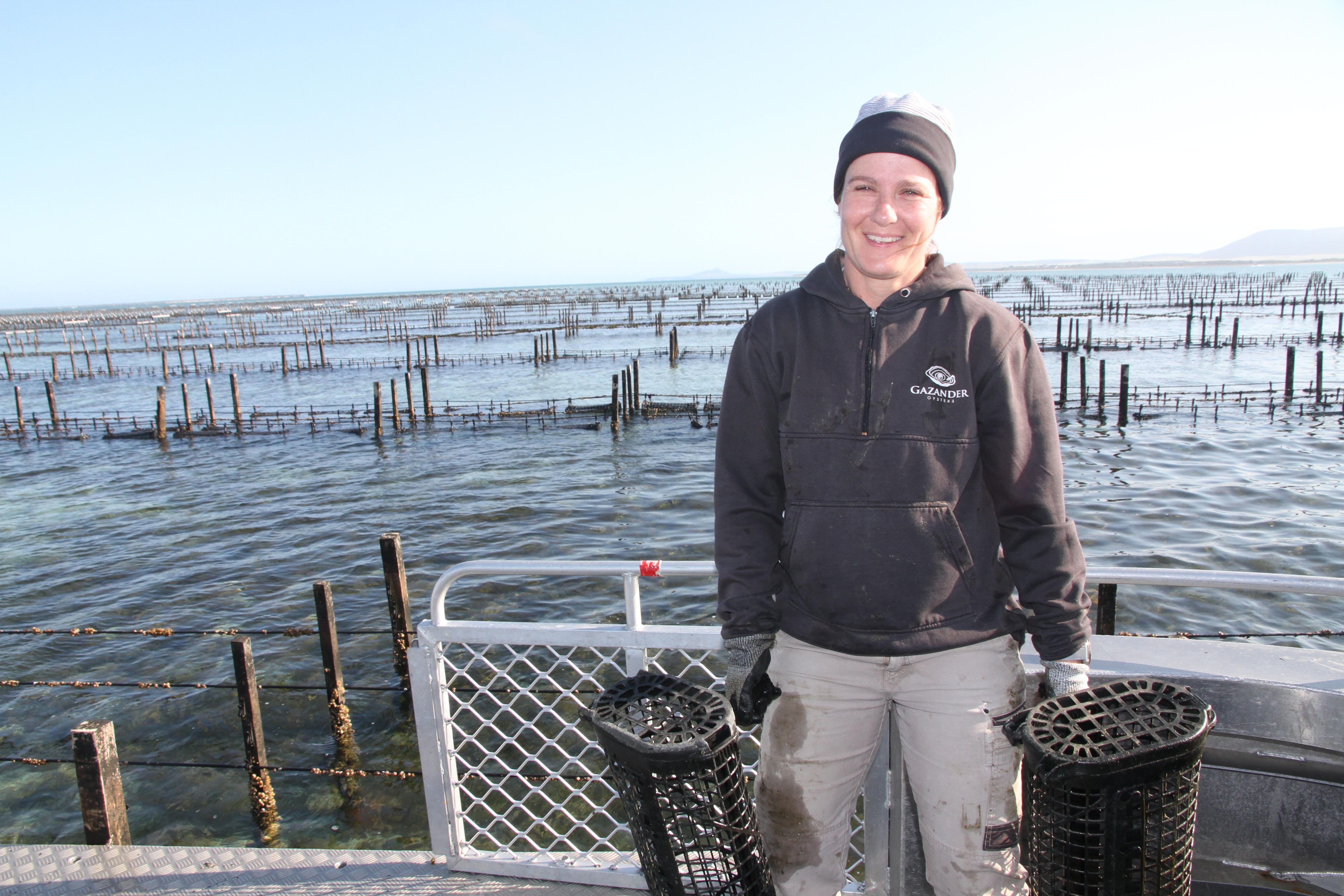 South Australian oyster growers thriving a year on from Vibrio virus ...