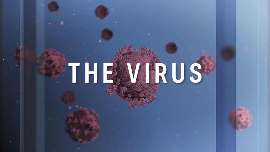 The Virus: The latest on the world's fight against coronavirus - ABC News