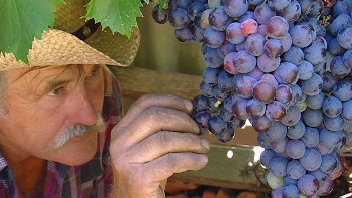 A Master Gardener - Gardening Australia