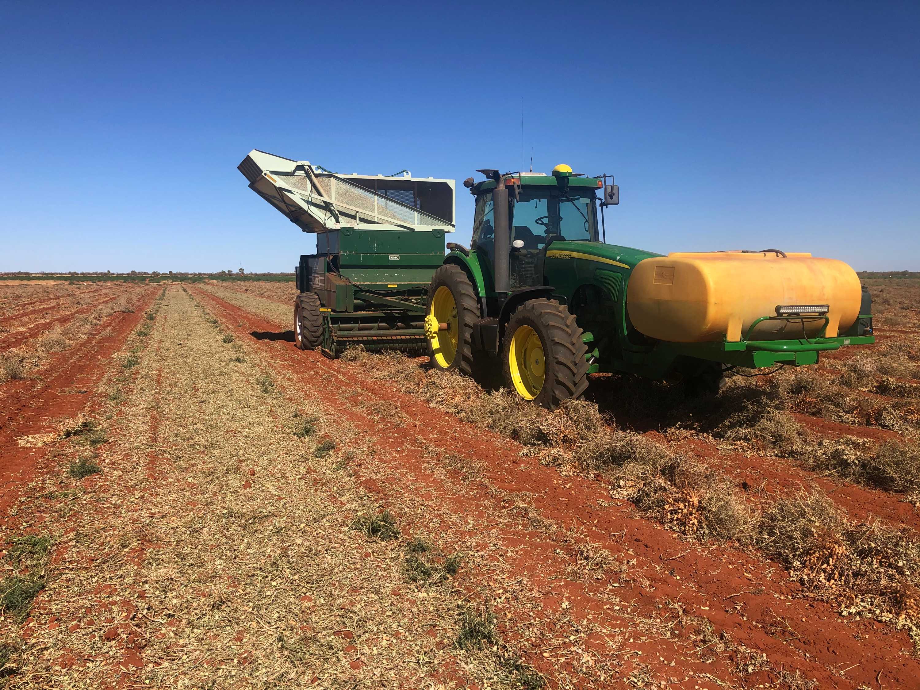 Specialist equipment brought in to harvest peanuts - ABC News