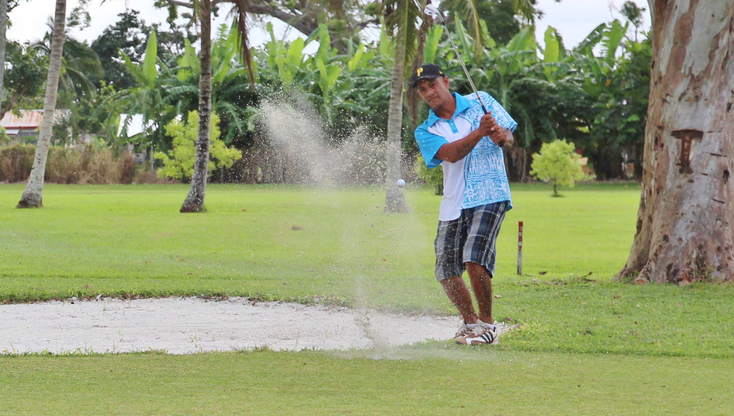 Tonga's sporting success shining home and away - ABC International ...