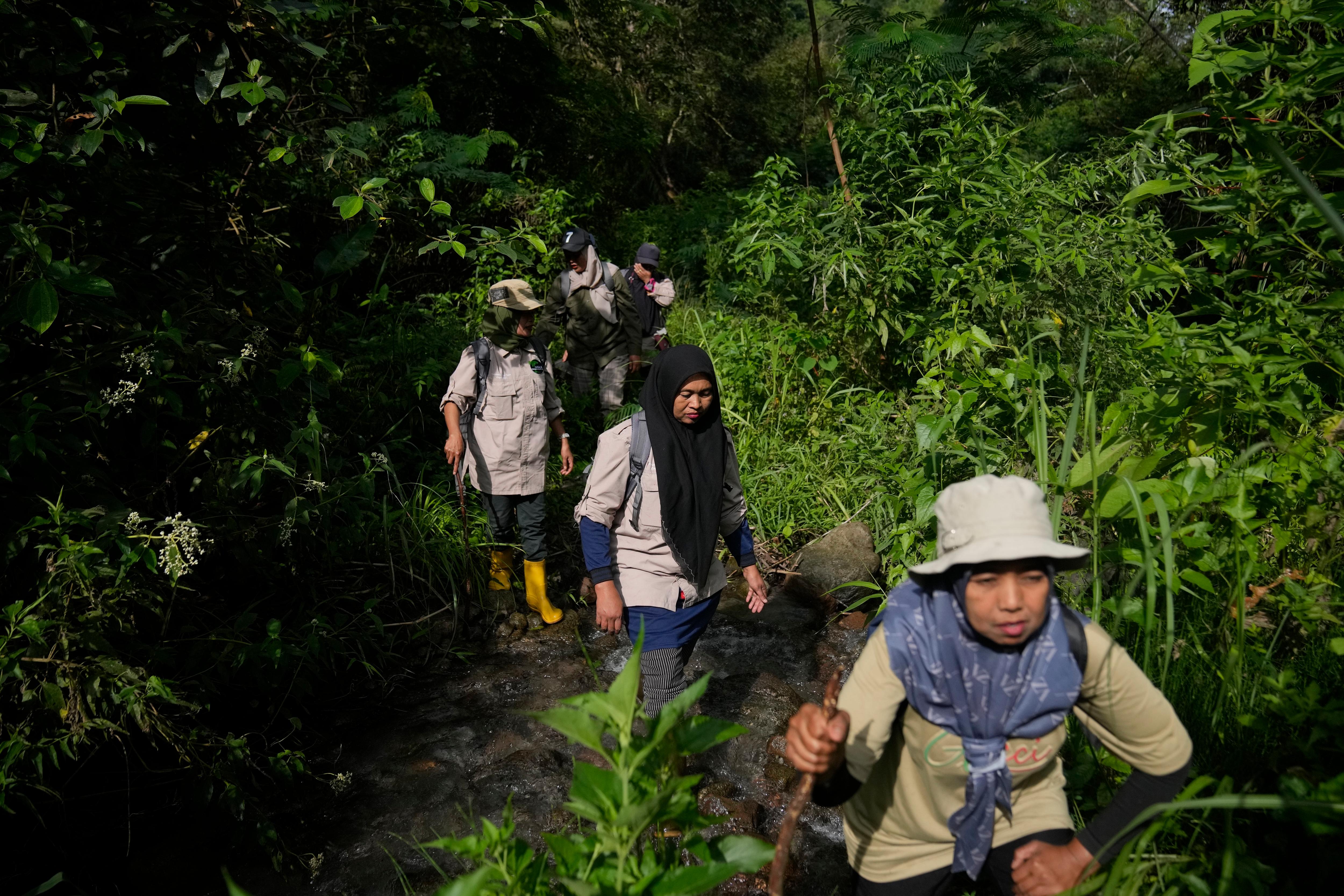 In Indonesia, women ranger teams go on patrol to slow deforestation ...