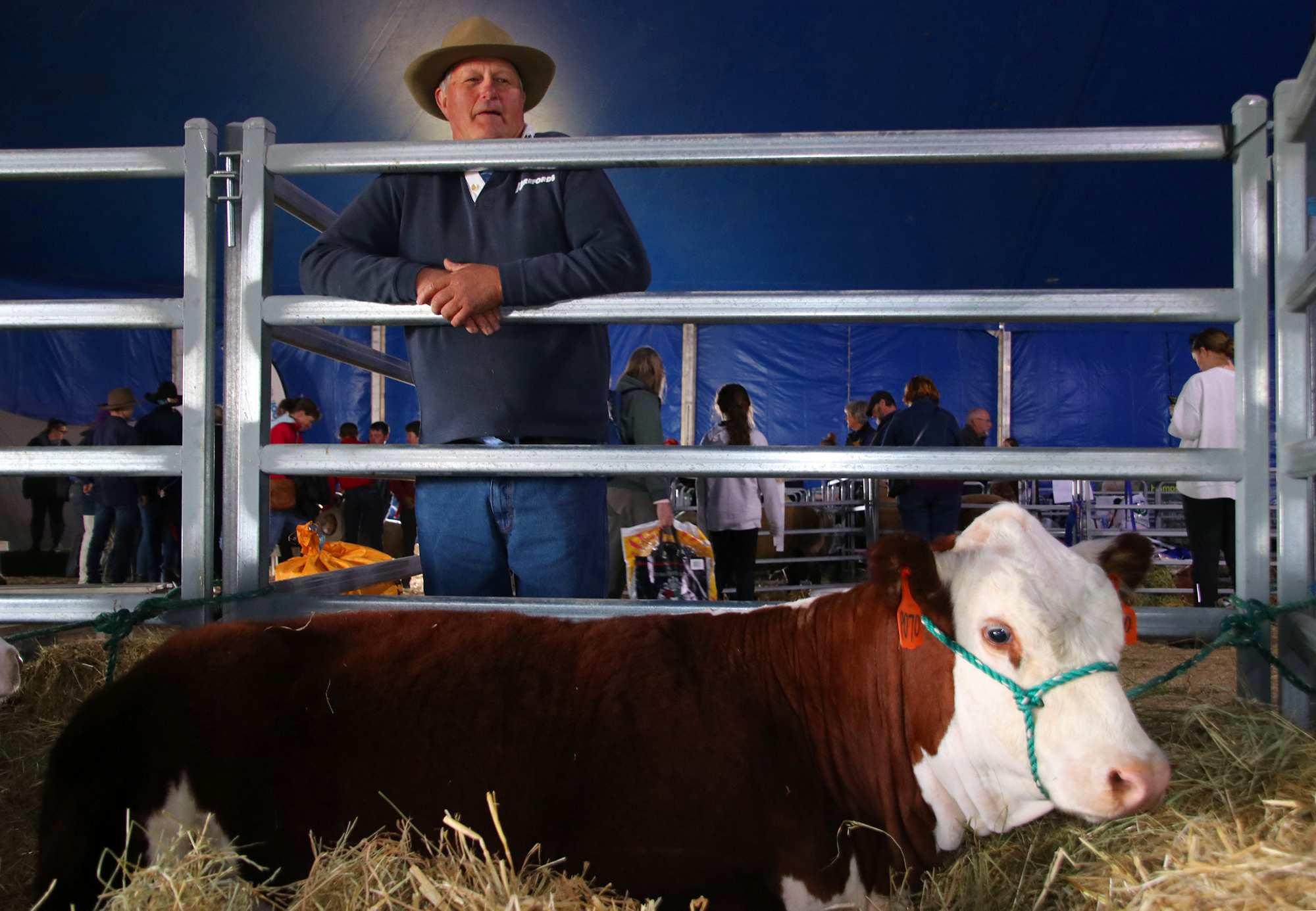 Burnie Show into its hundredth year, thanks to generations of farming ...