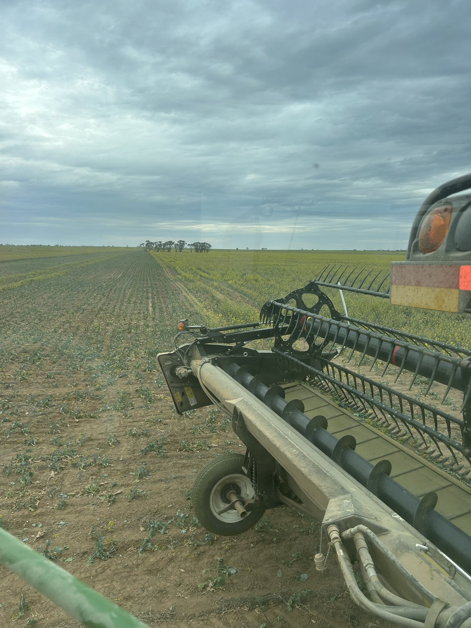 Victorian and South Australian farmers face tough decisions as crops ...