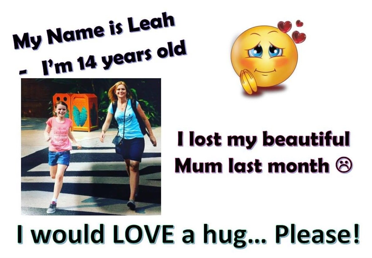 Pink answers grieving girl's wish for a hug at Brisbane concert - ABC News