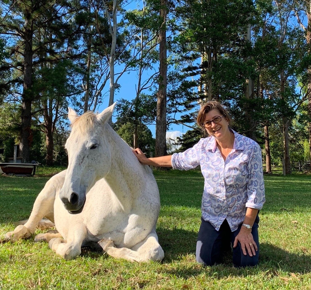 Talkback — lessons from horses and other animals - ABC Radio National
