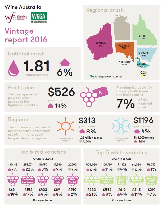 Strong price rise caps off a strong vintage for grape growers - ABC News