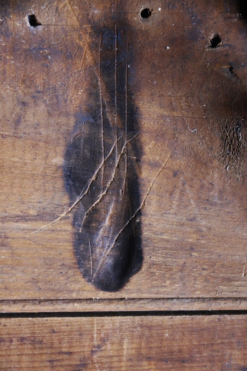 Burn marks add to hexafoil mystery of Tasmania's shamanic past - ABC News