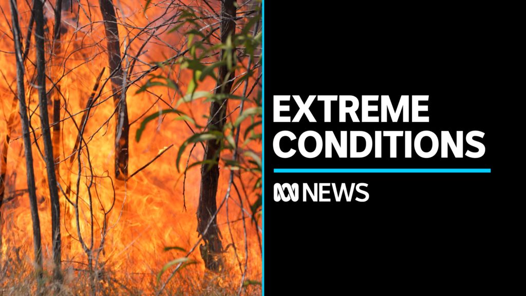 Extreme bushfire danger in parts of southern Queensland - ABC News