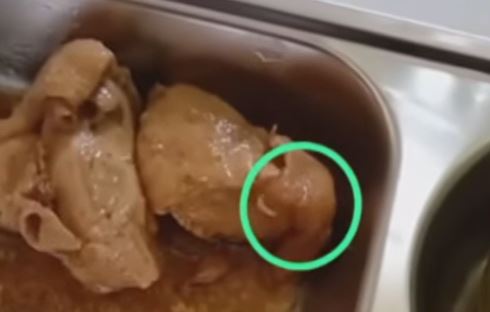 Fried shark and maggots: Indonesia's free meal program poisons ...