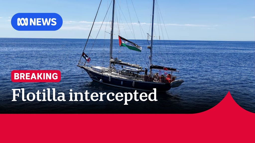 Francesca Albanese says Israel must release flotilla in international ...
