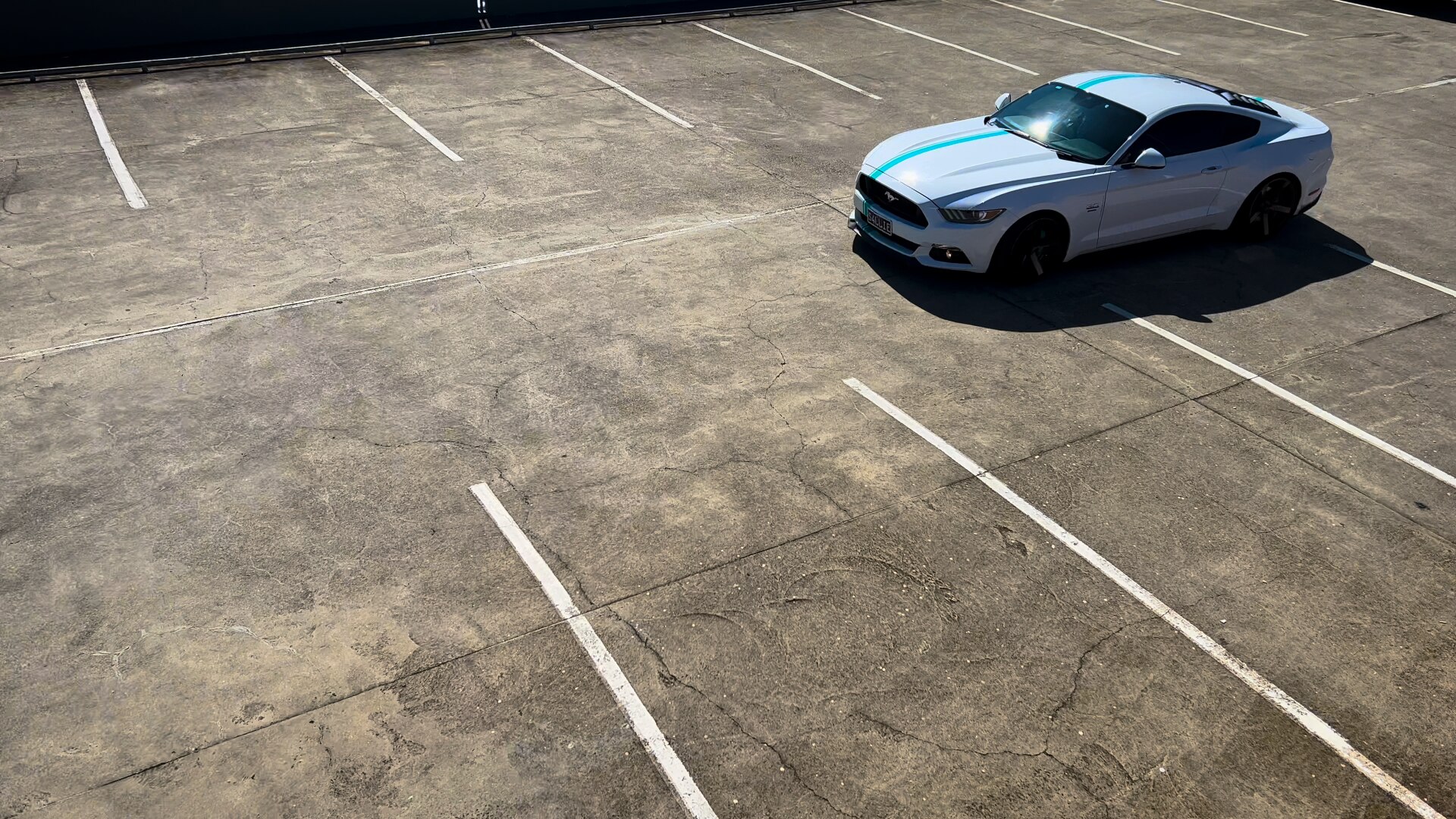 Shepparton's real-life Mustang Sallie fulfils childhood dream - ABC News