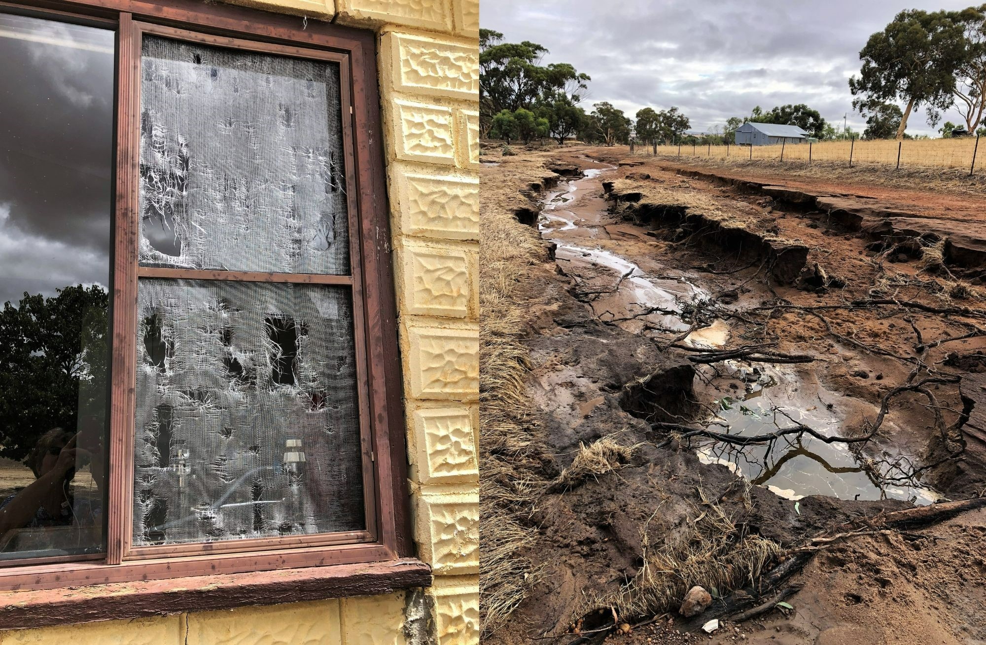 Major clean up for WA Wheatbelt properties after storm damage - ABC News