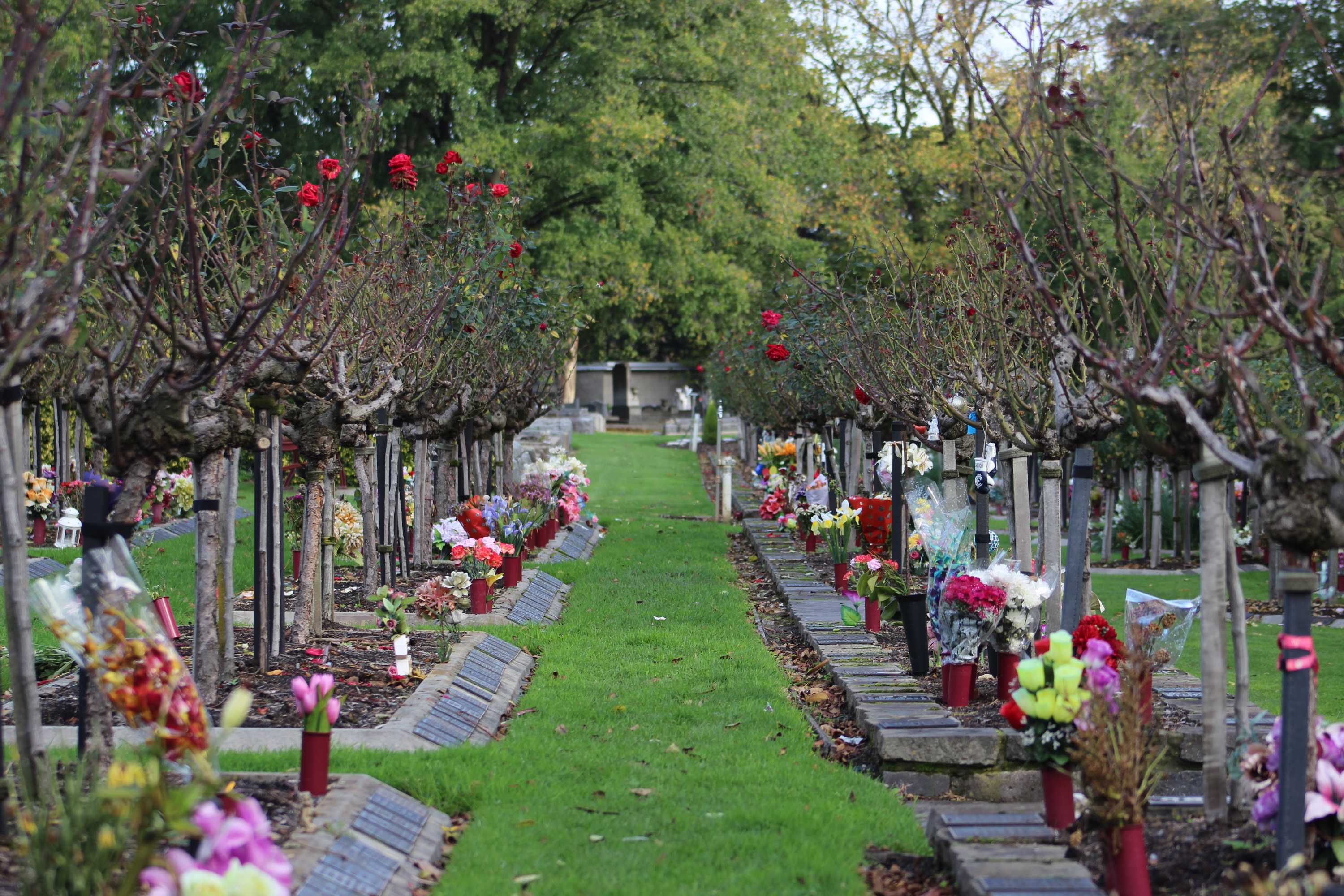 Landscaping for the dead - ABC Radio National
