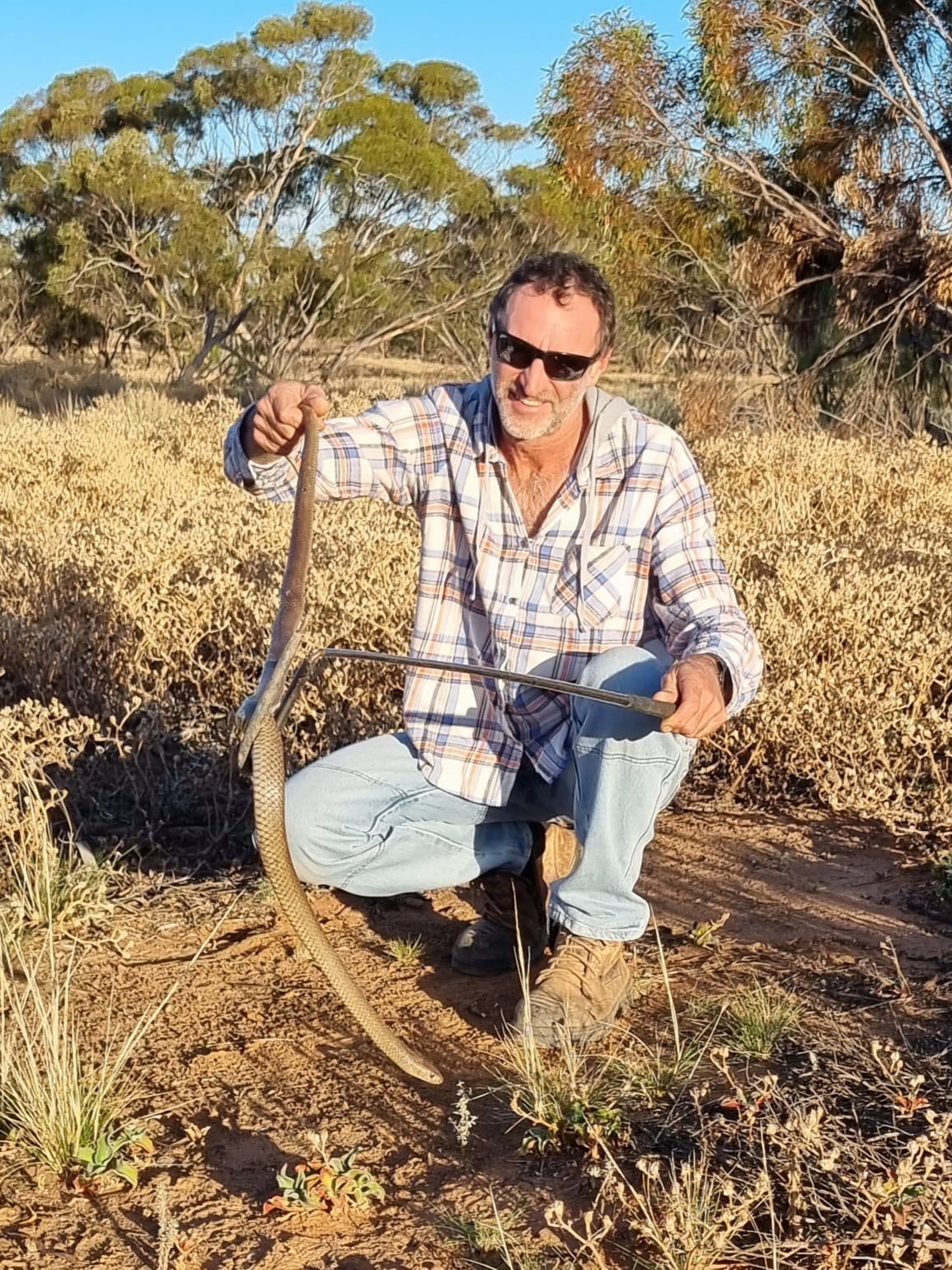 Mildura snake catcher Steven Morrow taken to hospital after brown snake ...