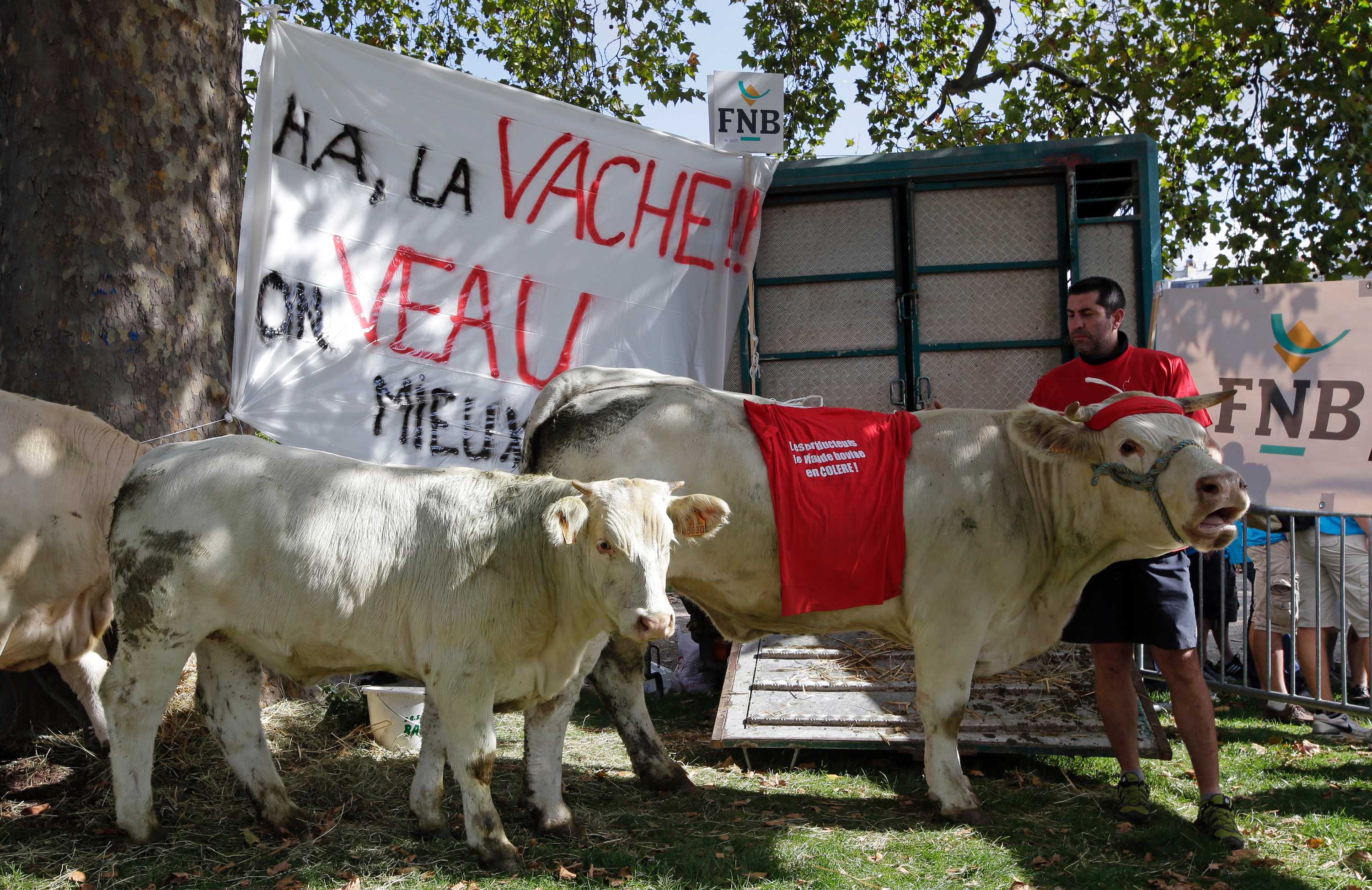 Protesting farmers in more than 1,000 tractors flood Paris streets ...
