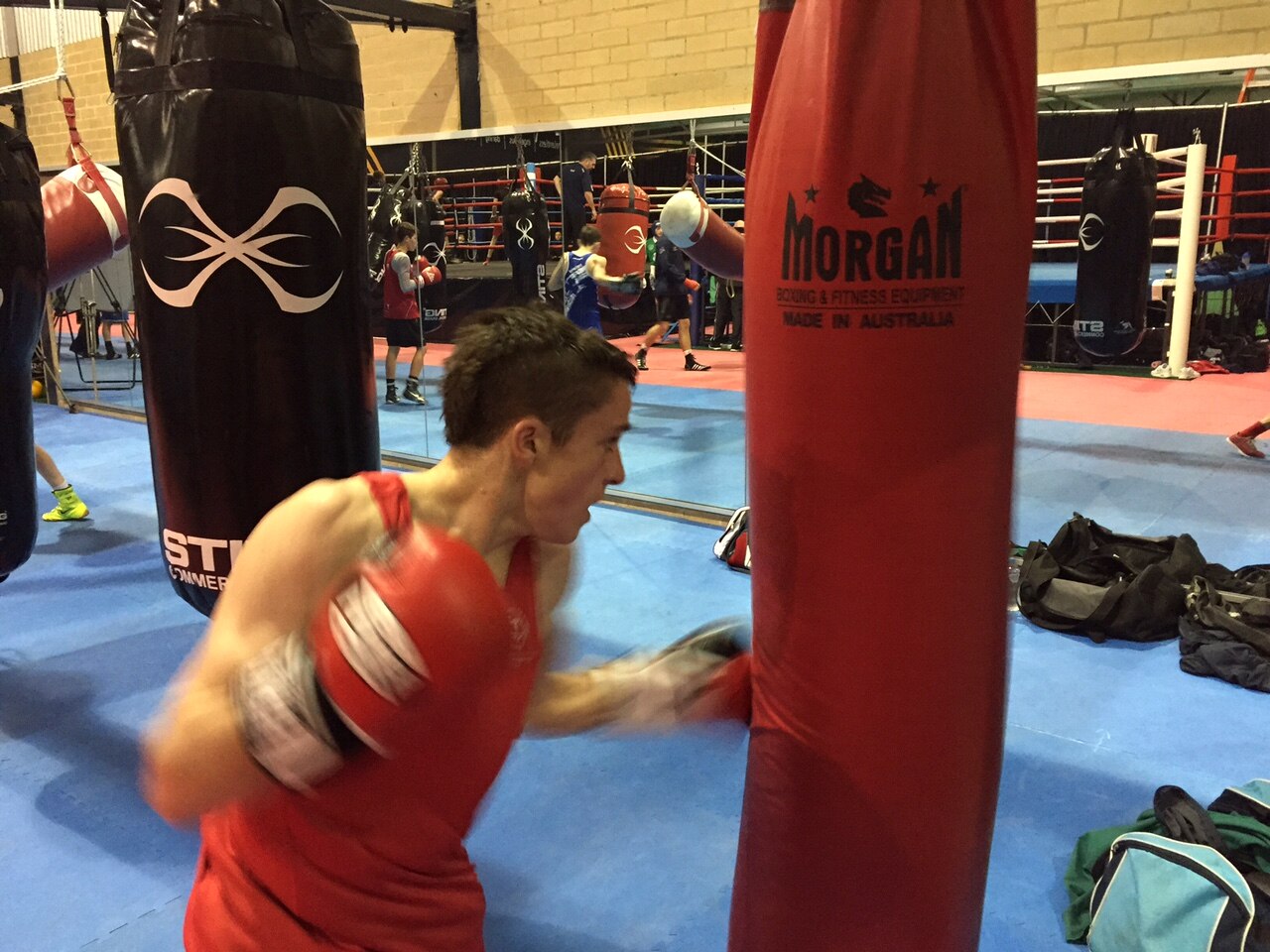 Best young Australian, Northern Irish boxers climb into ring at ...