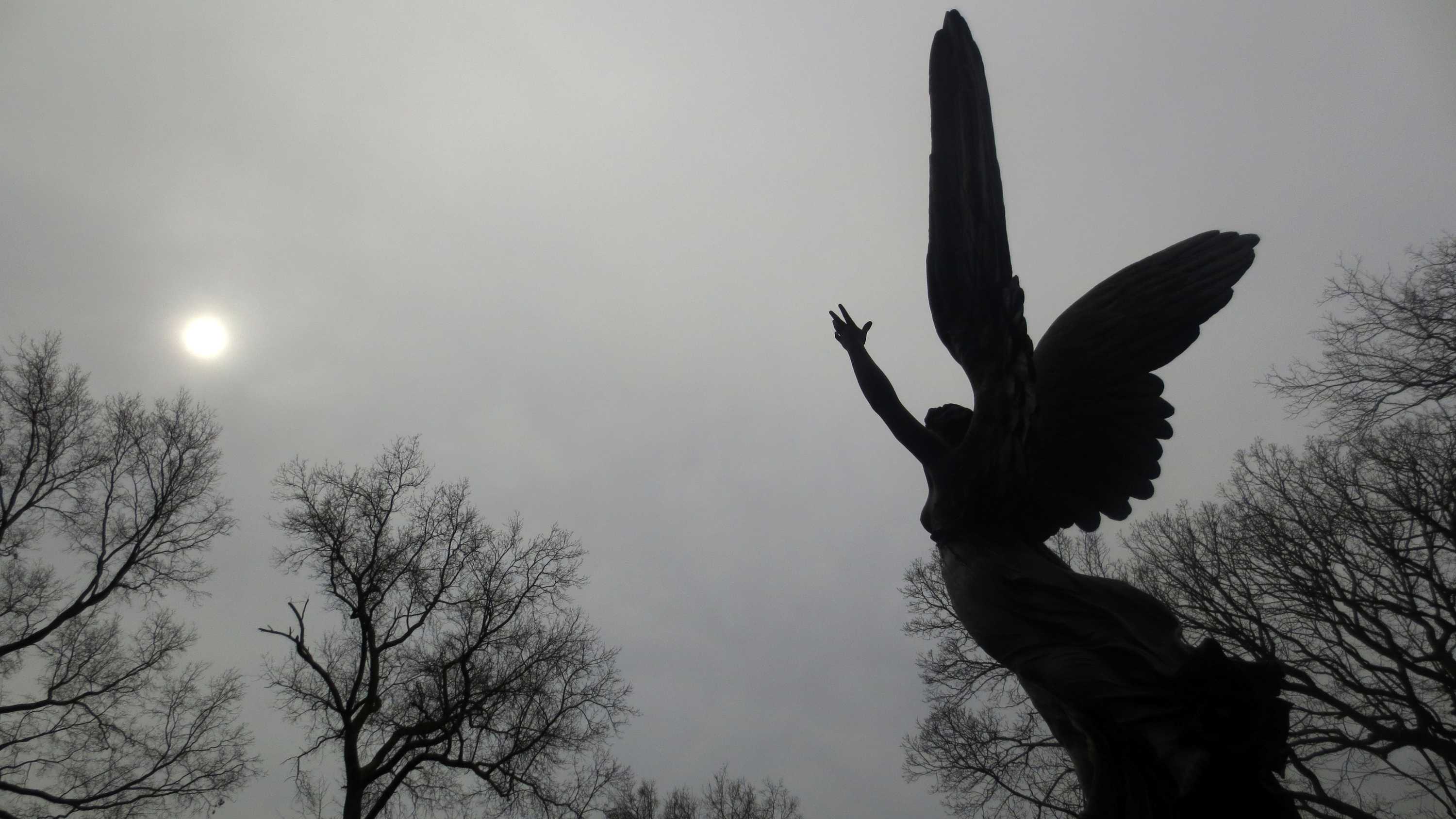 Sex, death and chilli sauce - ABC listen