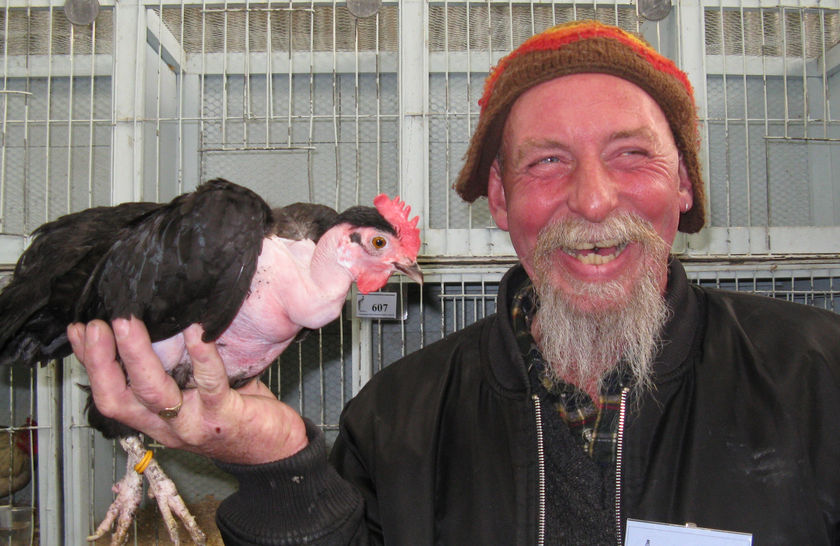 Pecking order: rare birds on show - ABC News