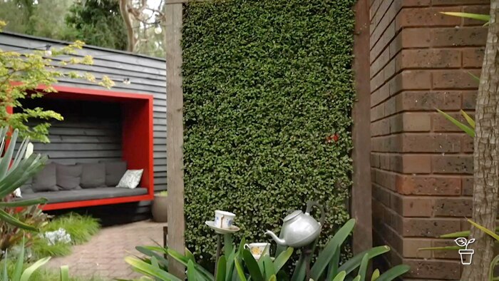 Sheet Mulching - Gardening Australia