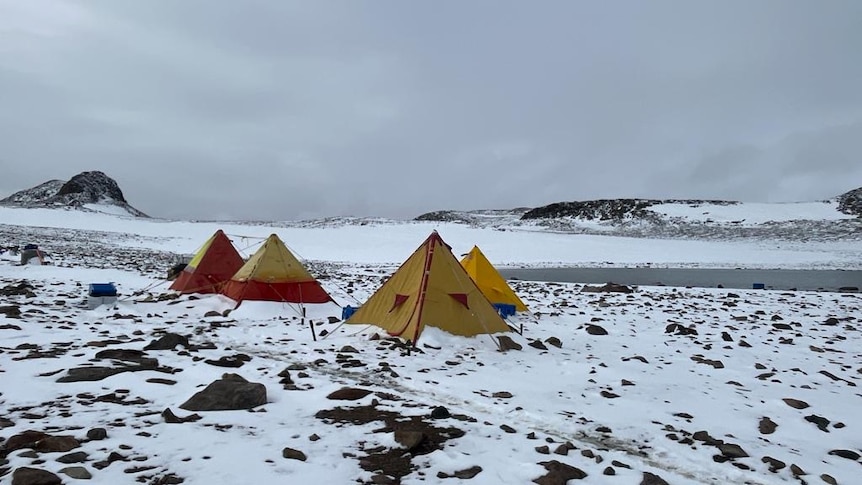 Scientists work to unlock secrets of Antarctica's Denman Glacier - ABC ... Scientists work to unlock secrets of Antarctica's Denman Glacier - ABC ...