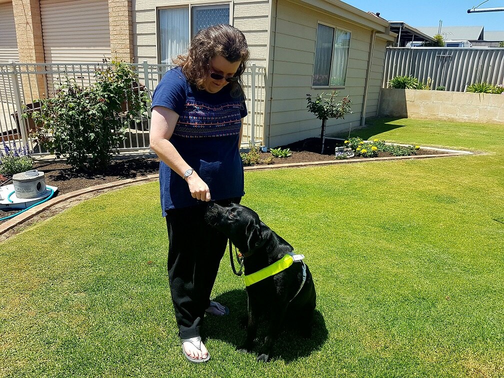 Guide Dogs WA calls for more community education as refusal of entry ...