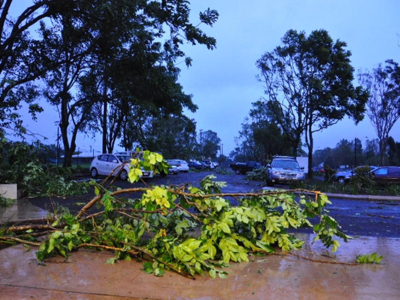 Cairns 'survives' cyclone Yasi - ABC News