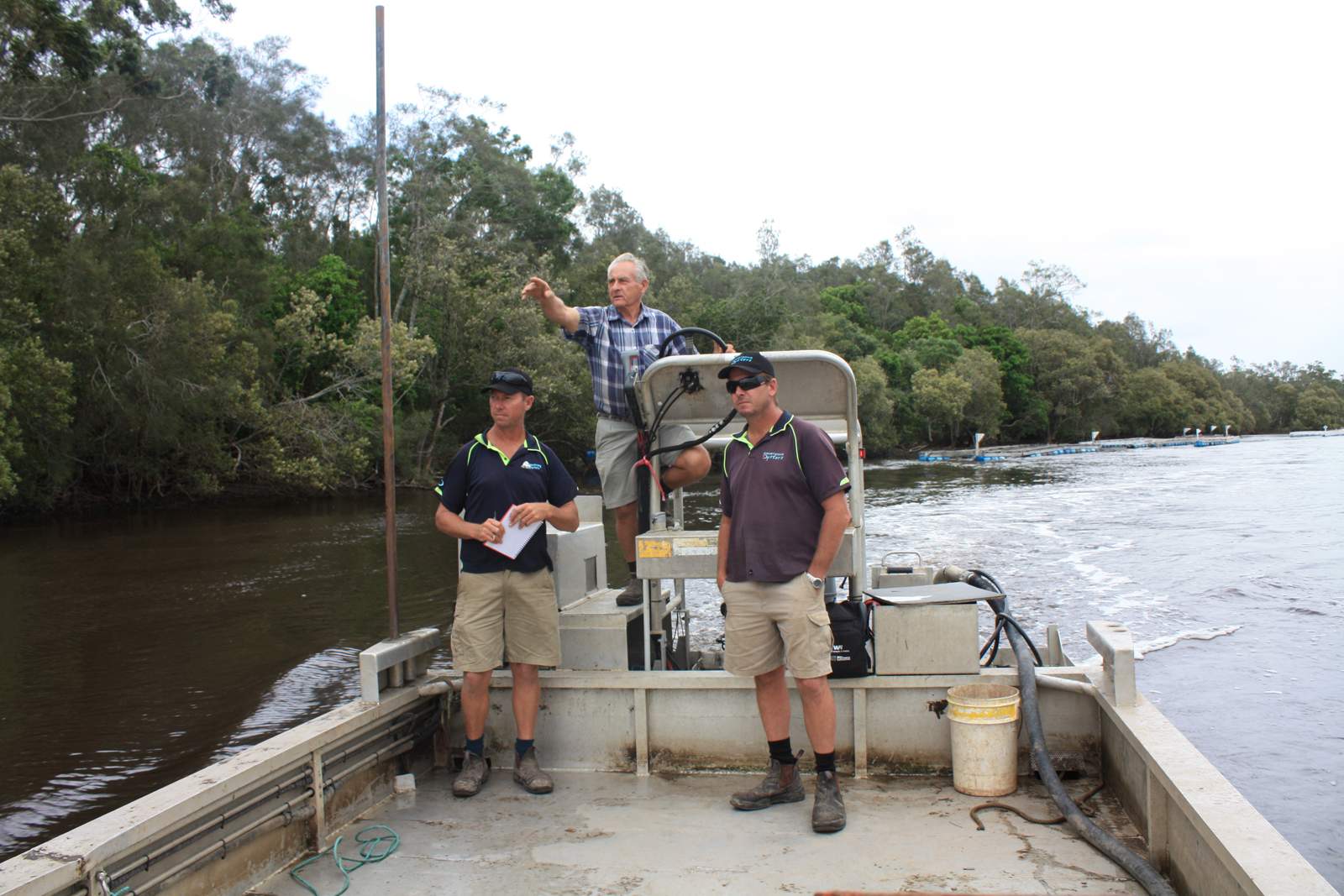 Oyster growers older than the average farmer - ABC News
