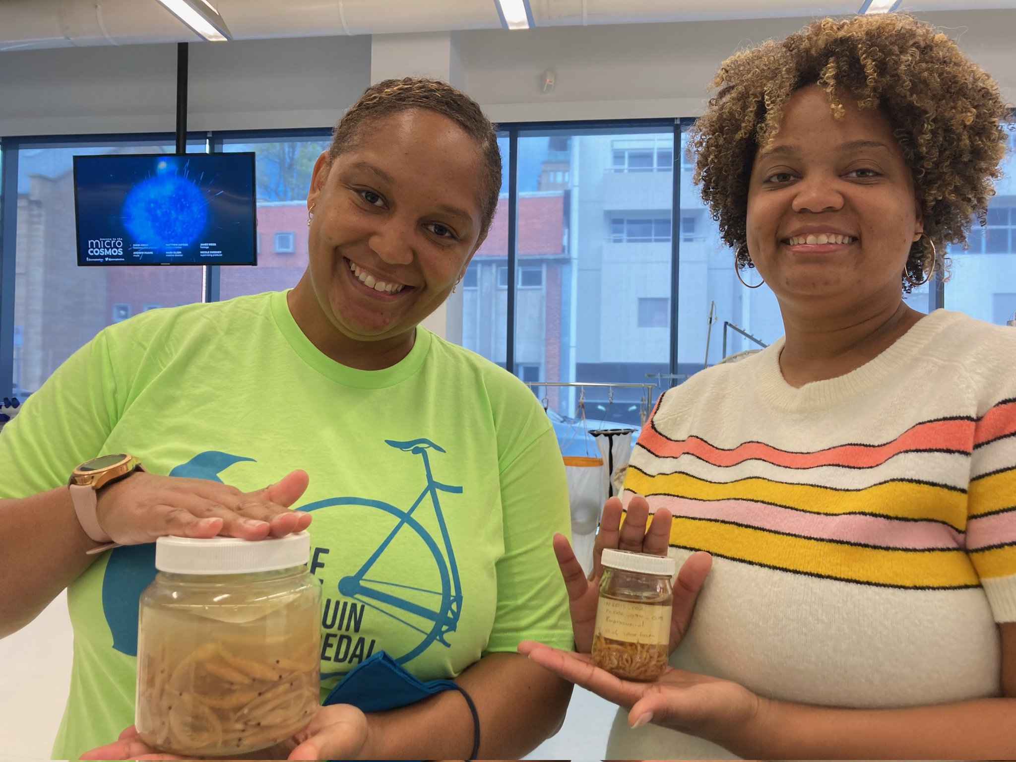 Who will tell the royal bees that the Queen is dead? - ABC Hobart