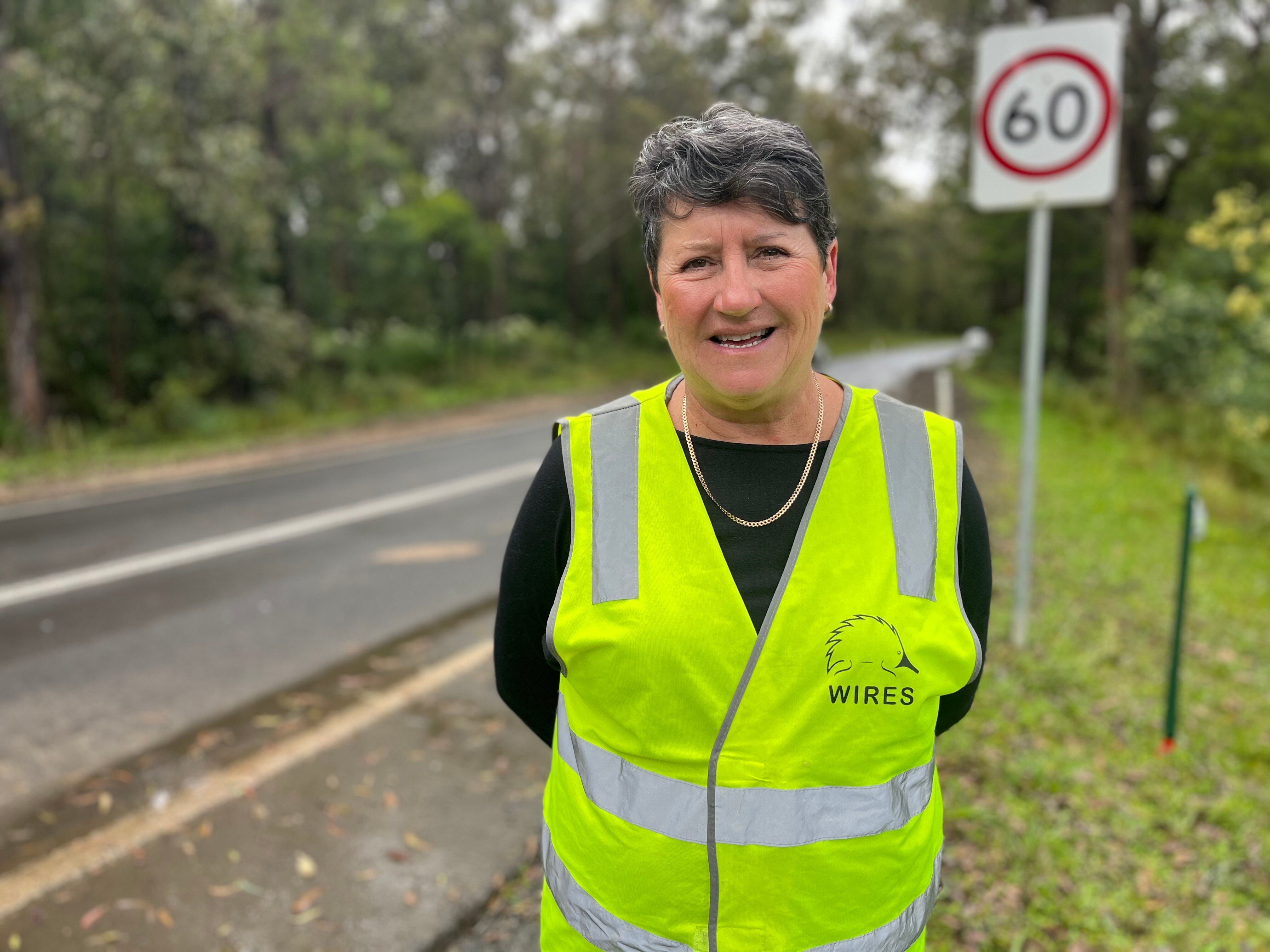 'Virtual' fence erected to protect native wildlife from traffic on NSW ...