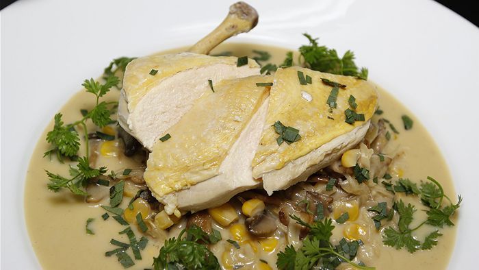 Poached chicken and mushroom fricassee - ABC News