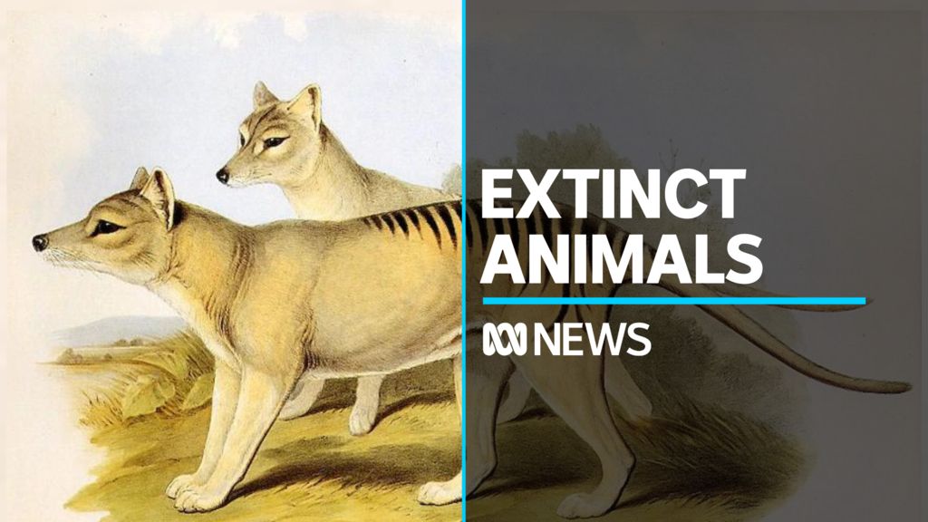 Scientists extract RNA molecules from 130-year-old Tasmanian Tiger ...